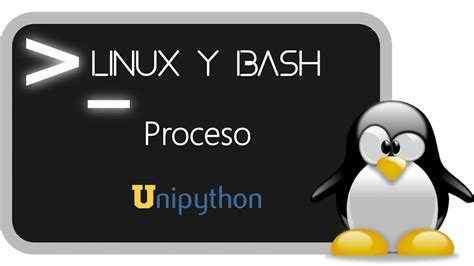 Procesos En Linux Y Bash Cursos De Programación De 0 A Experto