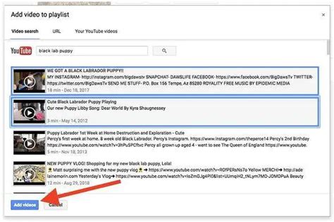 Create Amazing YouTube Playlists The Ultimate Tutorial Rene E Laboratory