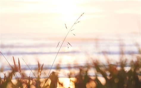 Spotify Data Project Part 1 — From Data Retrieval To First Insights