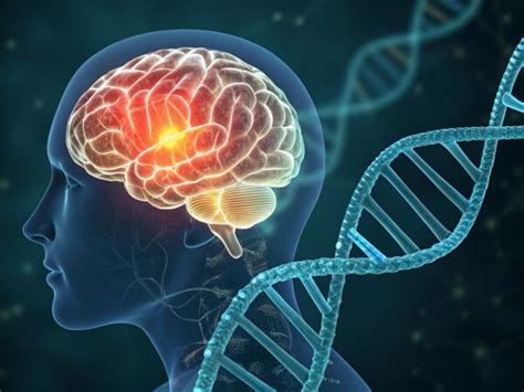 Implicit Memory A Simplified Psychology Guide