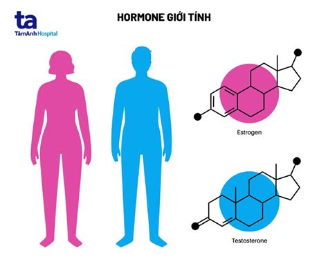 Rối Loạn Hormone Nguyên Nhân Triệu Chứng Và Giải Pháp Hiệu Quả