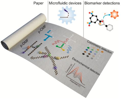 Programmable Paper Based Microfluidic Devices For Biomarker Detections Abstract Europe Pmc