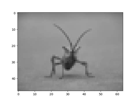 Image Tutorial Matplotlib Documentation