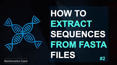 how to extract sequences from fasta files using seqtk episode 2 youtube
