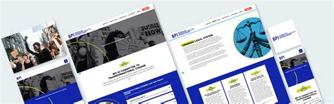 Bpi Chicago Website Design Non Profit Web Design Project