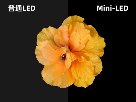 全球领先的tcl华星8k 1g1d技术 知乎