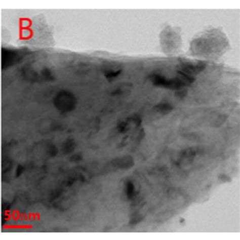 Tem Image Of Cellulose Nanocrystal A 0 2 μm B 50 Nm C 10 Nm Download Scientific