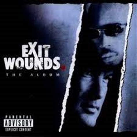 Buy Exit Wounds Online Sanity