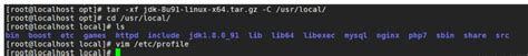 nginx Tomcat实现负载均衡动静分离集群部署 阿里云开发者社区