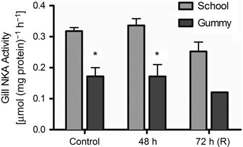 Na K Atpase Nka Activity In Micromoles Per Milligram Of Protein