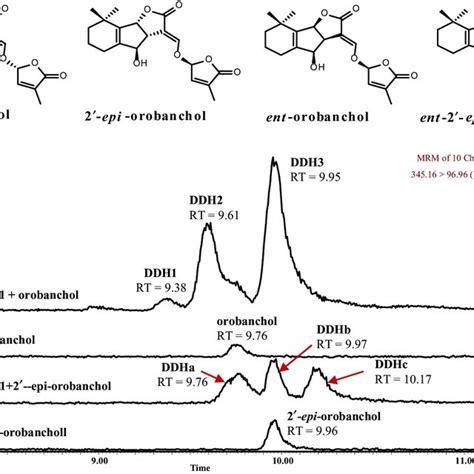 Multiple Reaction Monitoring Liquid Chromatography Tandem Mass