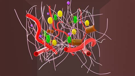 3d Dense Connective Tissue Model Turbosquid 2191620