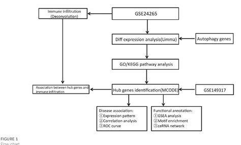 Figure 3 From The Use Of Multiple Datasets To Identify Autophagy