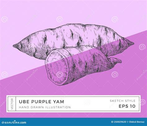 Ube Cartoons Illustrations And Vector Stock Images 291 Pictures To