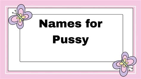 350 Names For Pussy Popular Slang Words And Their Meanings 2026