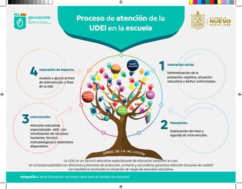 Proceso De Atención Udei En Educación Inclusiva Pdf