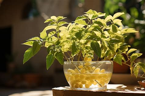 Premium Photo Small Leaf Plant