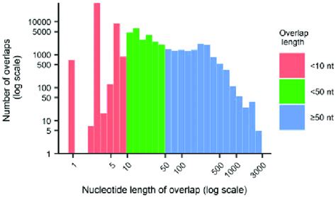 Logarithmic Scaled Histogram Of The Length Of Gene Overlap Overall 54 Download Scientific