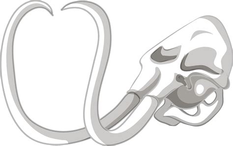Isolated Mammoth Skull On White Background 1929034 Vector Art At Vecteezy