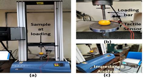 Iit Jodhpur Creates Cost Effective Sensor For Detecting Fruit Ripeness