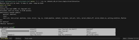 nixos integration tests ~aorith