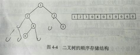 数据结构与算法 树与二叉树 chenzhen 博客园