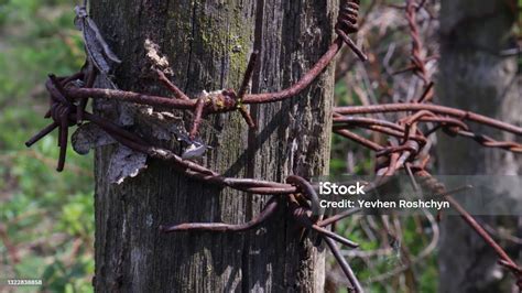 녹슨 철조망이 있는 오래된 나무 울타리 시골 길 옆에 울타리 빈티지 룩 목초지 울타리 둘레에 있는 나무 기둥 0명에 대한 스톡 사진 및 기타 이미지 Istock