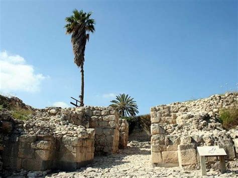 More Than Battles Of Armageddon The Forgotten Story Of Megiddo An