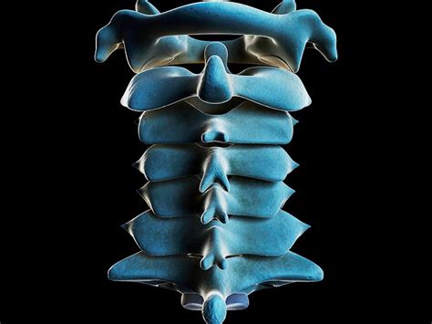 Cervical Spinal Stenosis Symptoms Treatment And Exercises