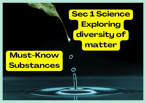 Secondary 1 Science Revision Notes The Science Shifu