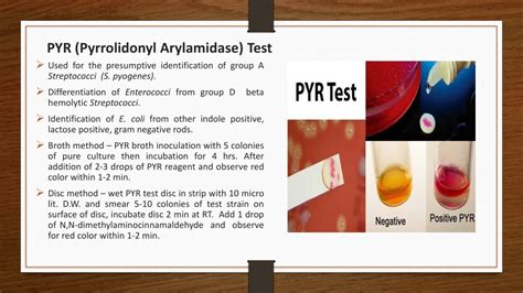 Ppt Biochemical Test 2nd Part Powerpoint Presentation Free Download