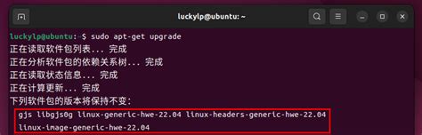 Apt Get Upgrade 和 Dist Upgrade 有什么区别？ 兔子教程