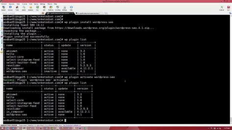 How Use Wp Cli To Manage Wordpress Plugins Youtube