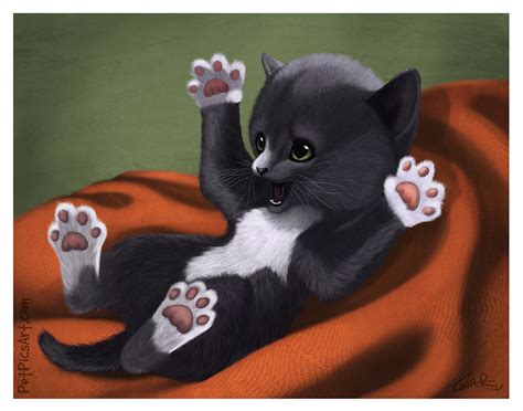 Surprised Kitty — Weasyl