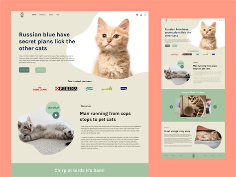 Cat Website By Noëlie On Dribbble
