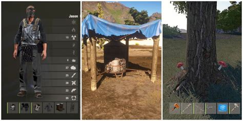 Rust 5 Ways To Collect Water Rust 5 Ways To Collect Water