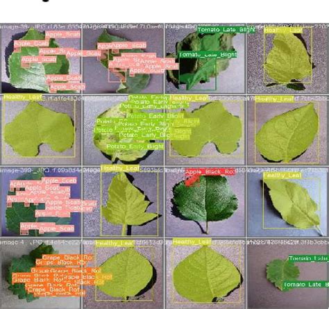 Figure 1 From Plant Disease Detection And Segmentation Using End To End Yolov8 A Comprehensive