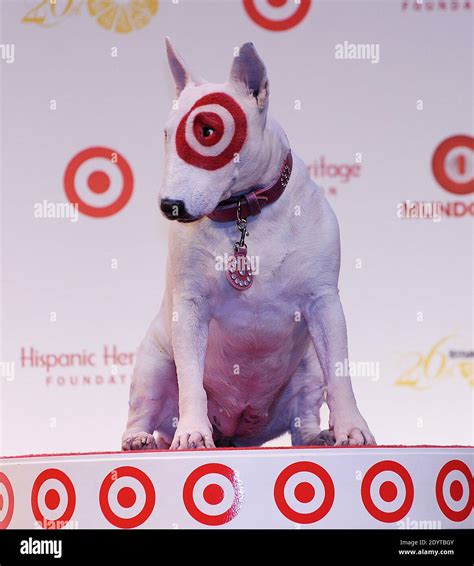 Bullseye Formerly Known As Spot The Bull Terrier Official Mascot Of Target Corporation Attends