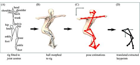A A 3d Animation Rig Was Fitted To Body Segment And Joint Centres