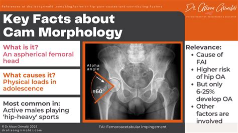 Cam Type Morphology At Sandra Willis Blog