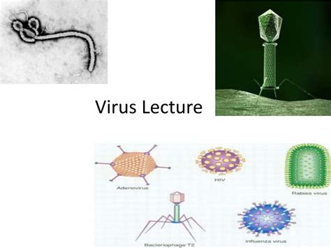 Ppt Virus Lecture Powerpoint Presentation Free Download Id2045085