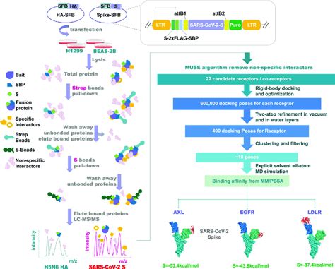 schematic of the integrated proteomics computation workflow used to