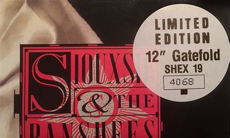 Release “kiss Them For Me Snapper Mix” By Siouxsie And The Banshees
