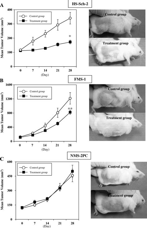 Effects Of Oral Treatment With Imatinib Mesylate On Tumor Growth In Download Scientific Diagram