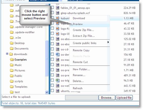 Previewing Files On A Host Machine
