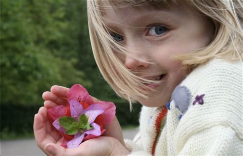 Memuconvert 磐创ai 开放猫官方网站