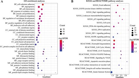 Functional Enrichment Analysis Of Degs A Go Enrichment Analysis B Download Scientific Diagram