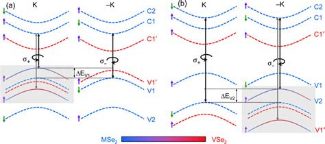 schematic diagrams of two scenarios of interlayer hybridization the