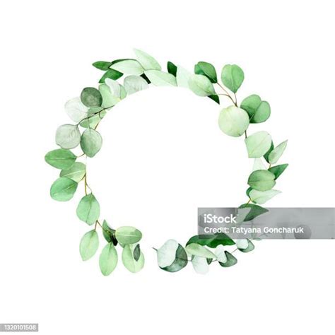 유칼립투스 잎과 가지의 둥근 프레임 수채화 도면 흰색 배경 화환에 고립 녹색 유칼립투스 잎에서 프레임 초대 축하 상품의 디자인 유칼립투스에 대한 스톡 벡터 아트 및 기타
