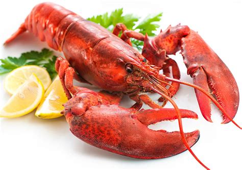 Why do lobsters turn red when cooked?